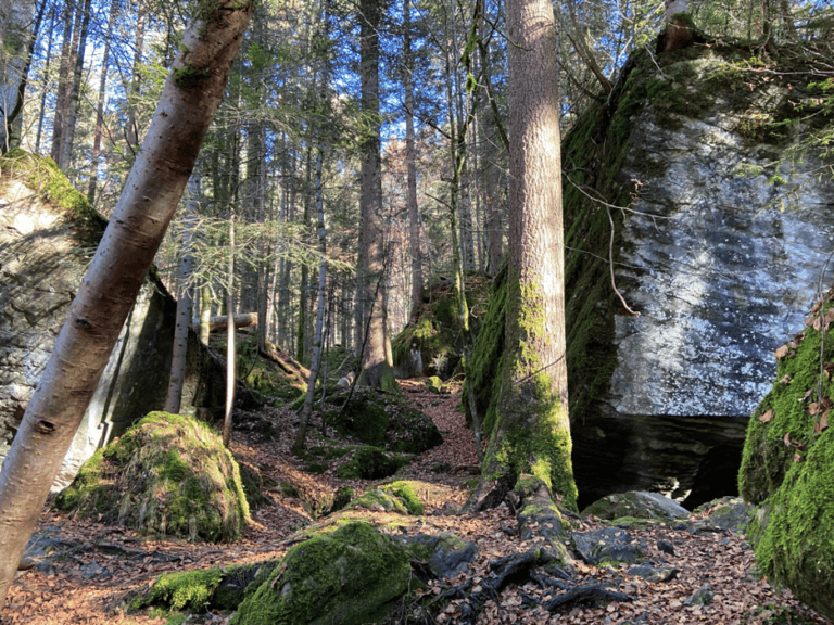 Discovering the Magic of Blausee: A Stunning Hike from Kandersteg