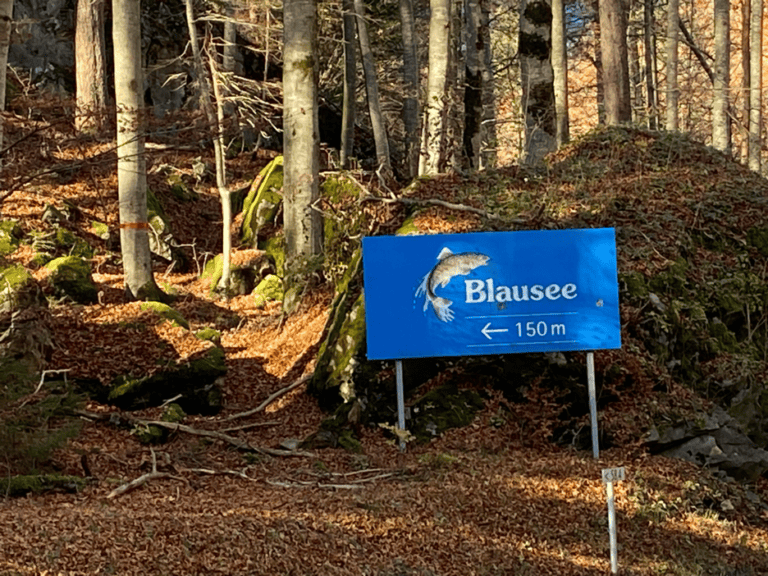 Discovering the Magic of Blausee: A Stunning Hike from Kandersteg