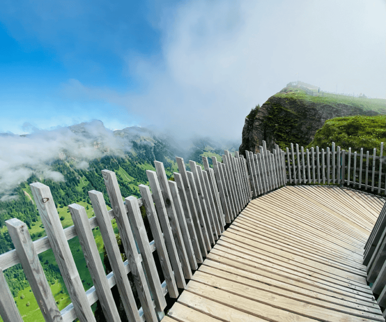How to Plan a Peaceful Day Trip to Niederhorn from Interlaken or Thun