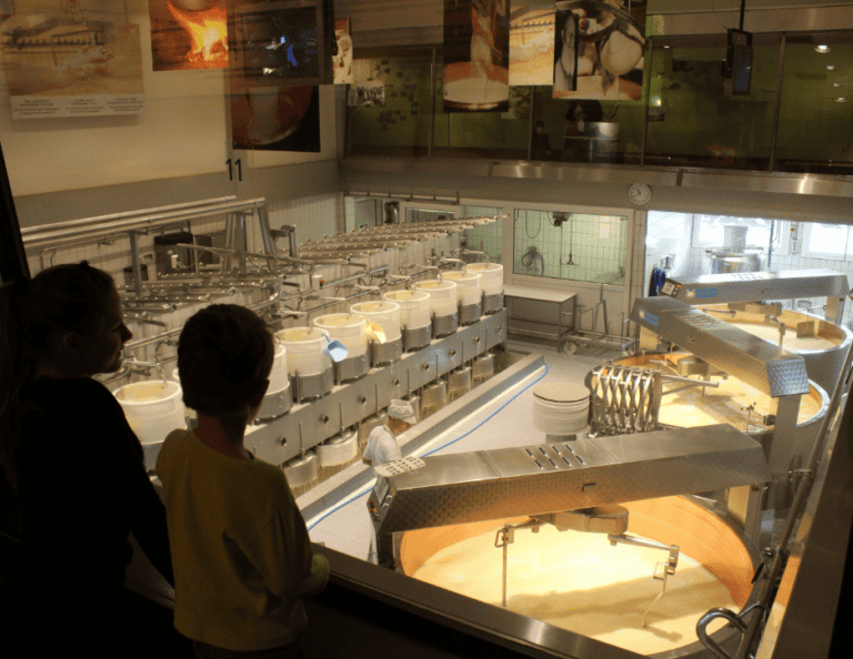 Gruyère Cheese Factory Tour: The Ultimate Pilgrimage for Cheese Lovers